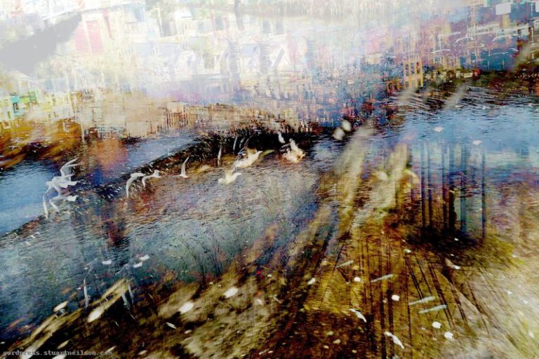 Building for A Differently Abled World / Magda Mostafa | iqd