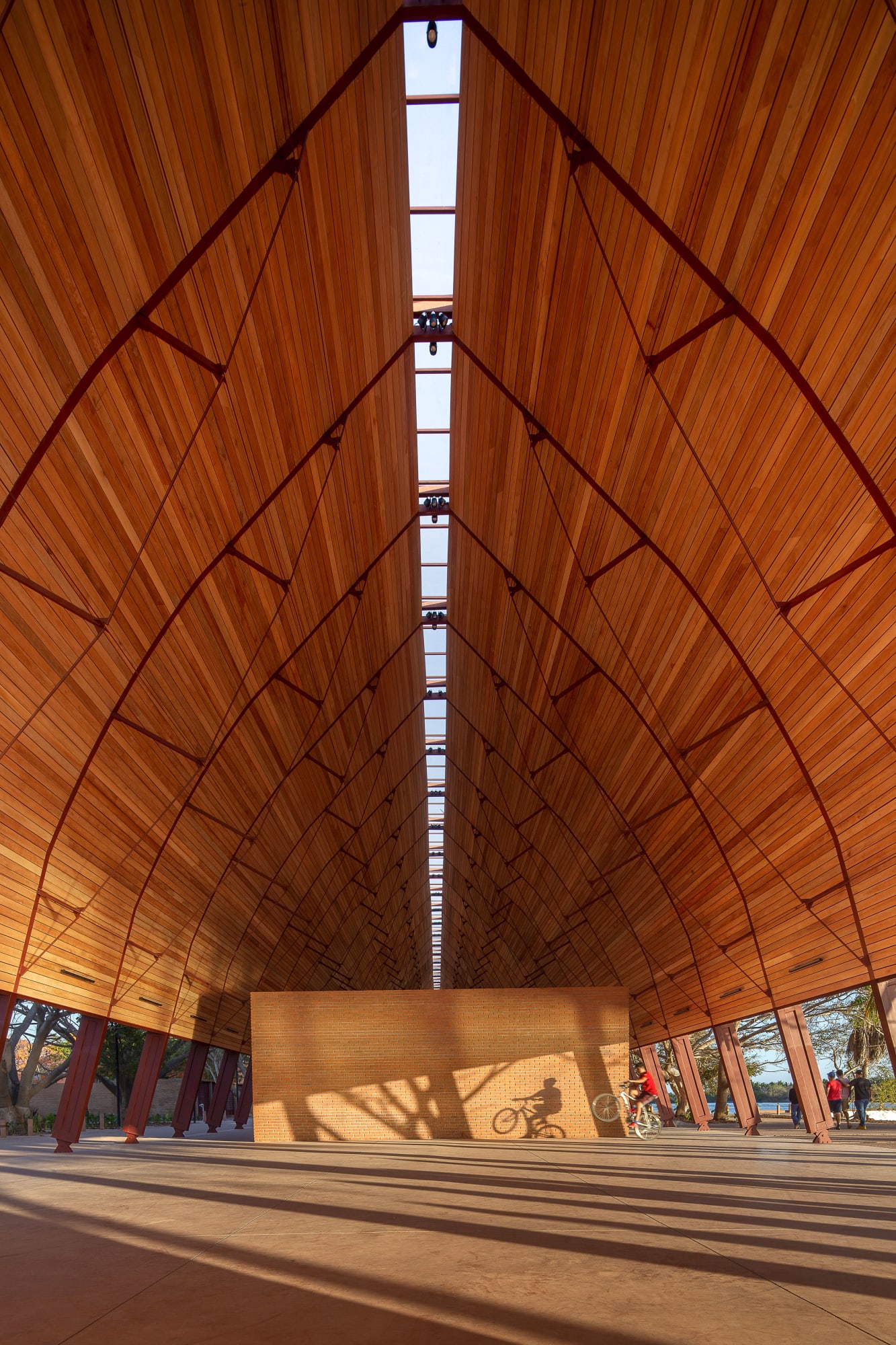 Muelle de San Blas / Colectivo C733 | iqd